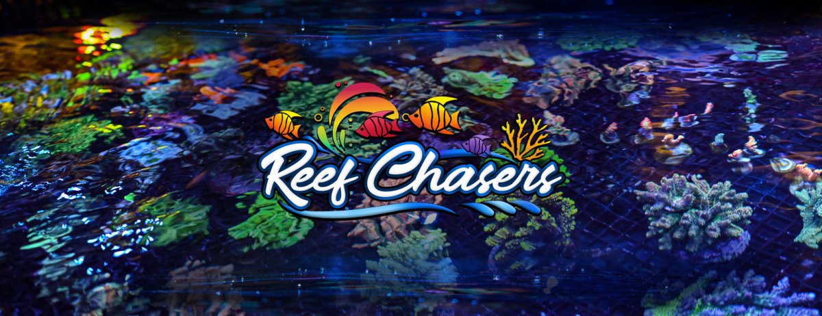Reef Chasers | Reef Tank Care Guides How-To | pH and Your Reef Tank